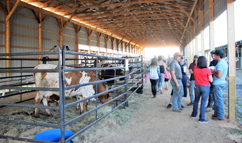 Clinton County Fair kicks off 50th year today | News, Sports, Jobs ...